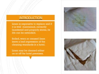 Linen & Laundry.pdf
