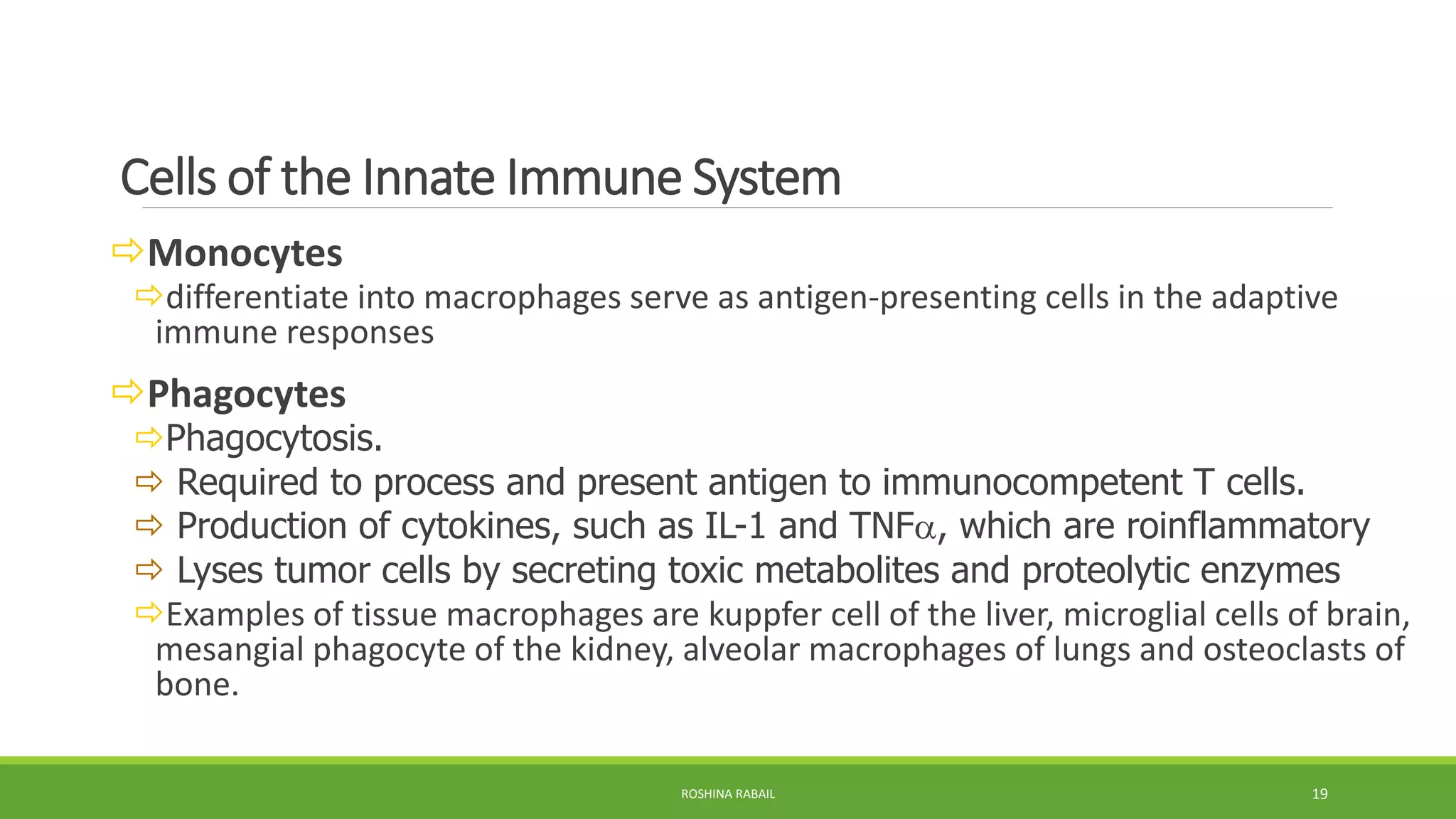 Line of defences | PPSX