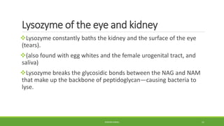 Line of defences | PPSX