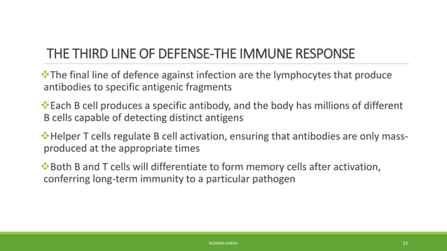 Line of defences | PPSX