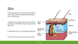 Line of defences | PPSX