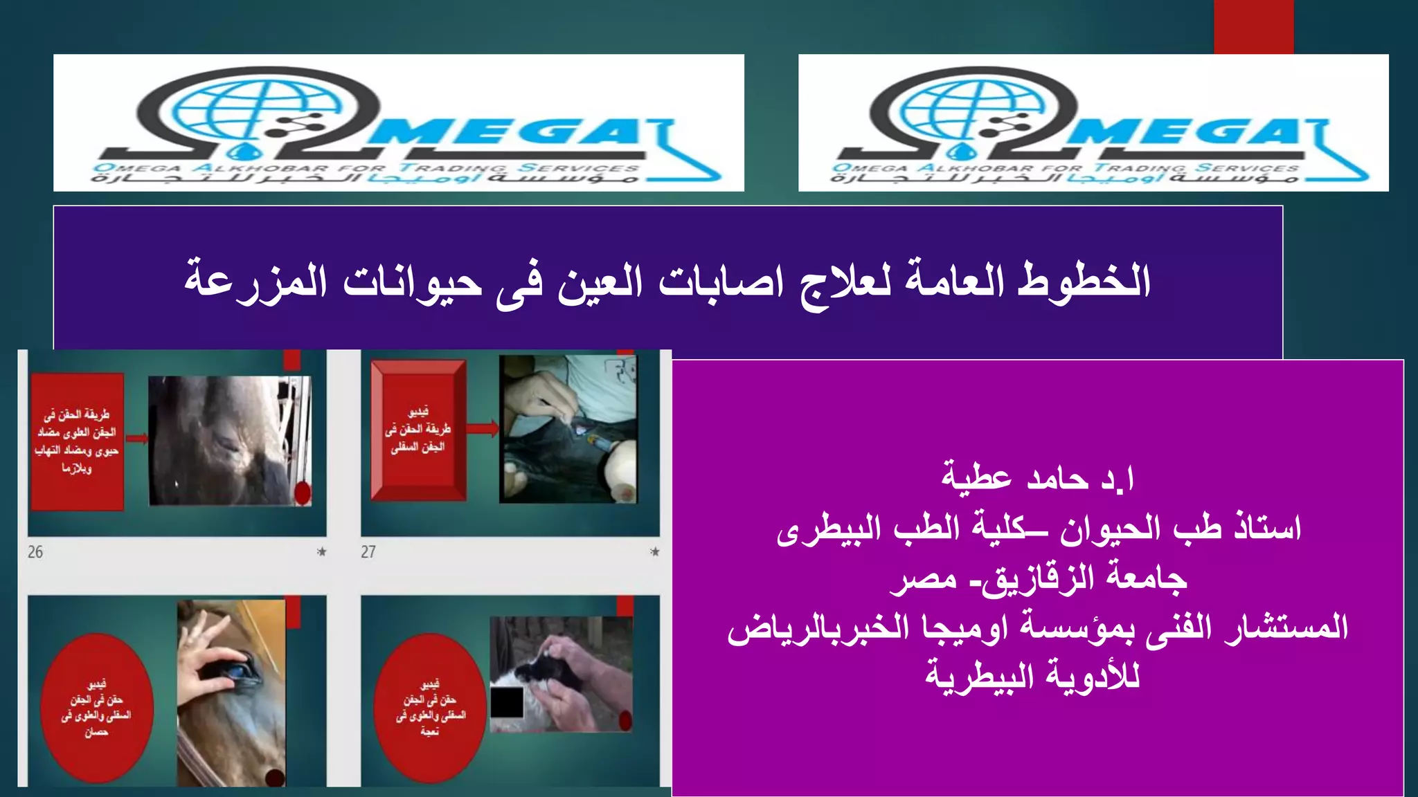 Line of treatment of eye diseases in Farm Animals Proff. Dr Hamed Attia ...