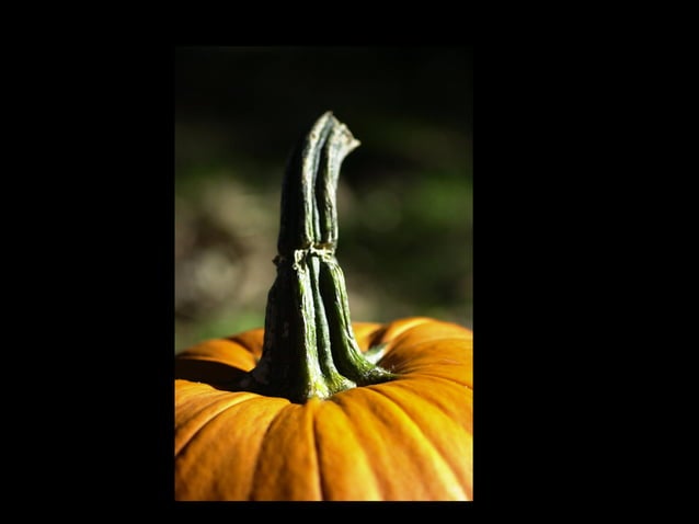 High School LIne Photography Lesson | PPT