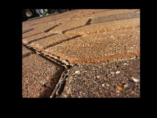 High School LIne Photography Lesson | PDF