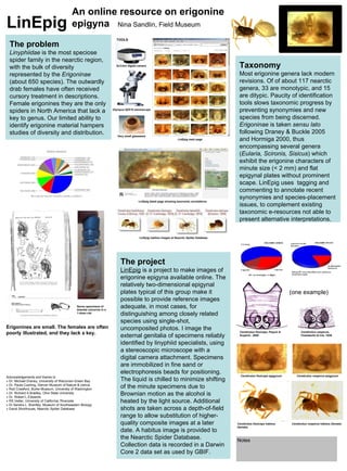 LinEpig: An online resource on erigonine epigyna | PPT | Biological ...