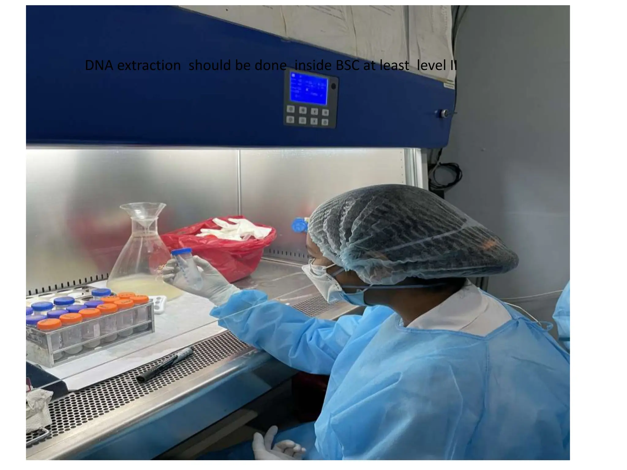 Line Probe Assay for Mycobacterium tuberculosis .pptx