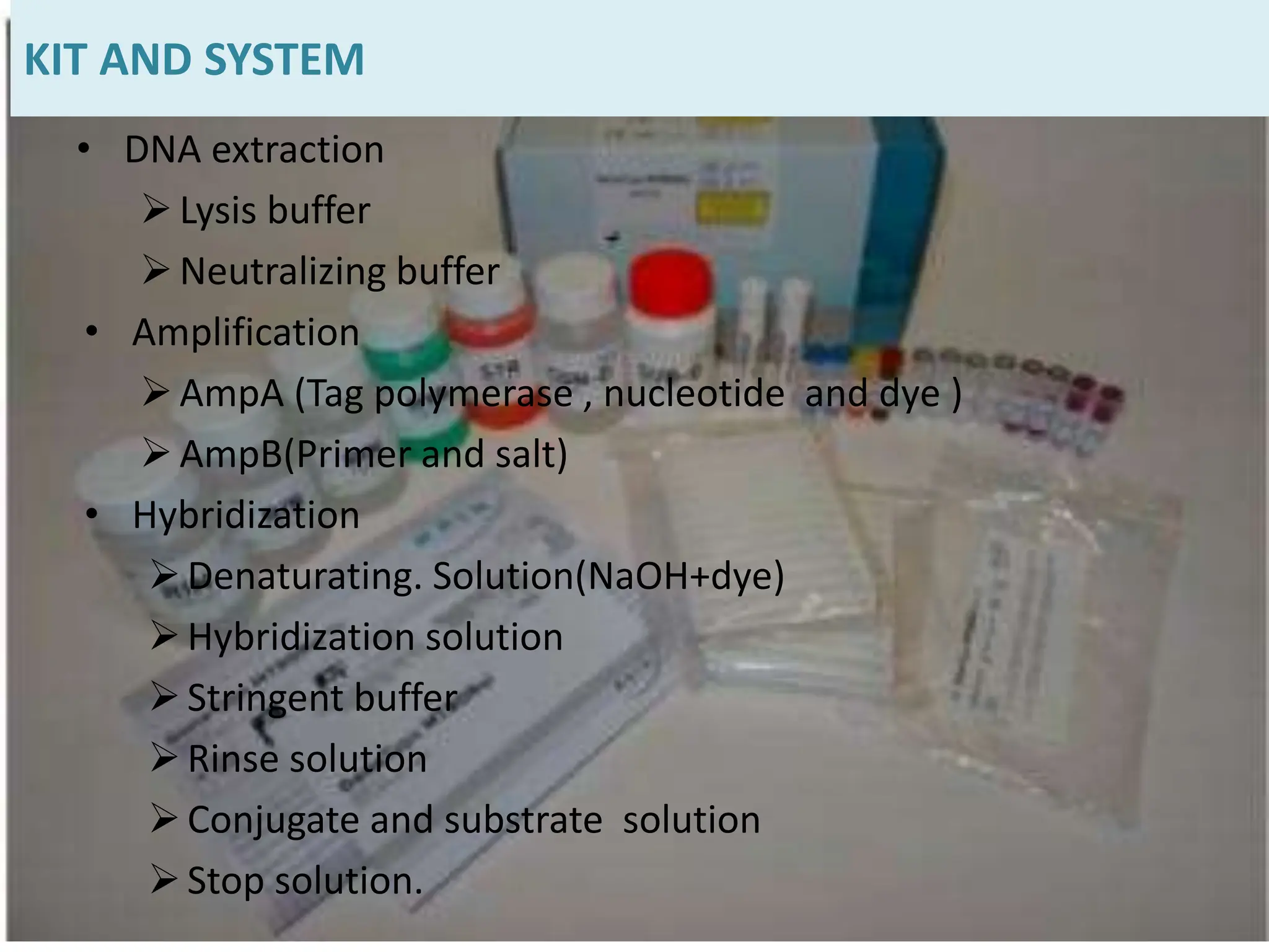 Line Probe Assay for Mycobacterium tuberculosis .pptx