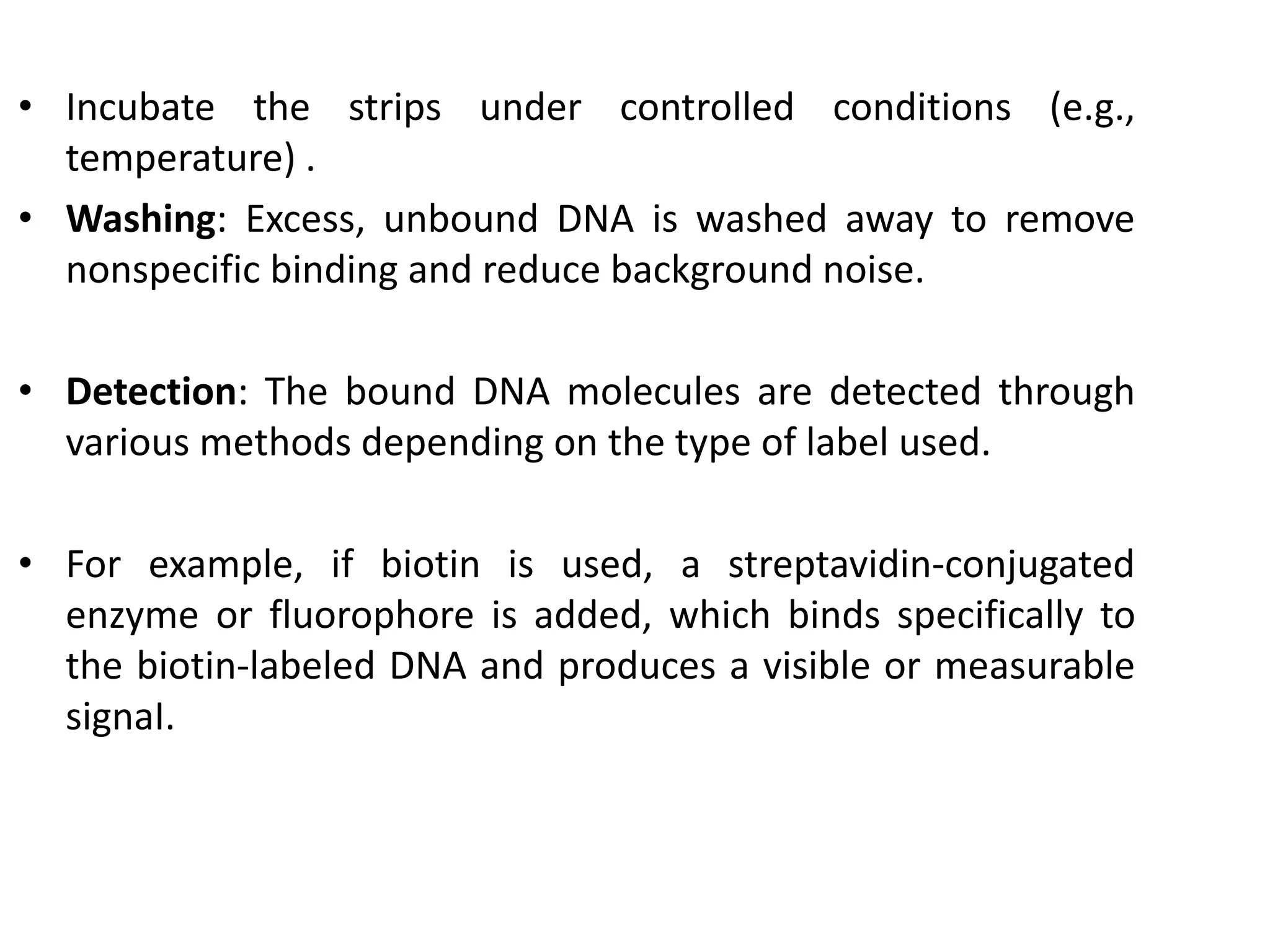Line Probe Assay for Mycobacterium tuberculosis .pptx