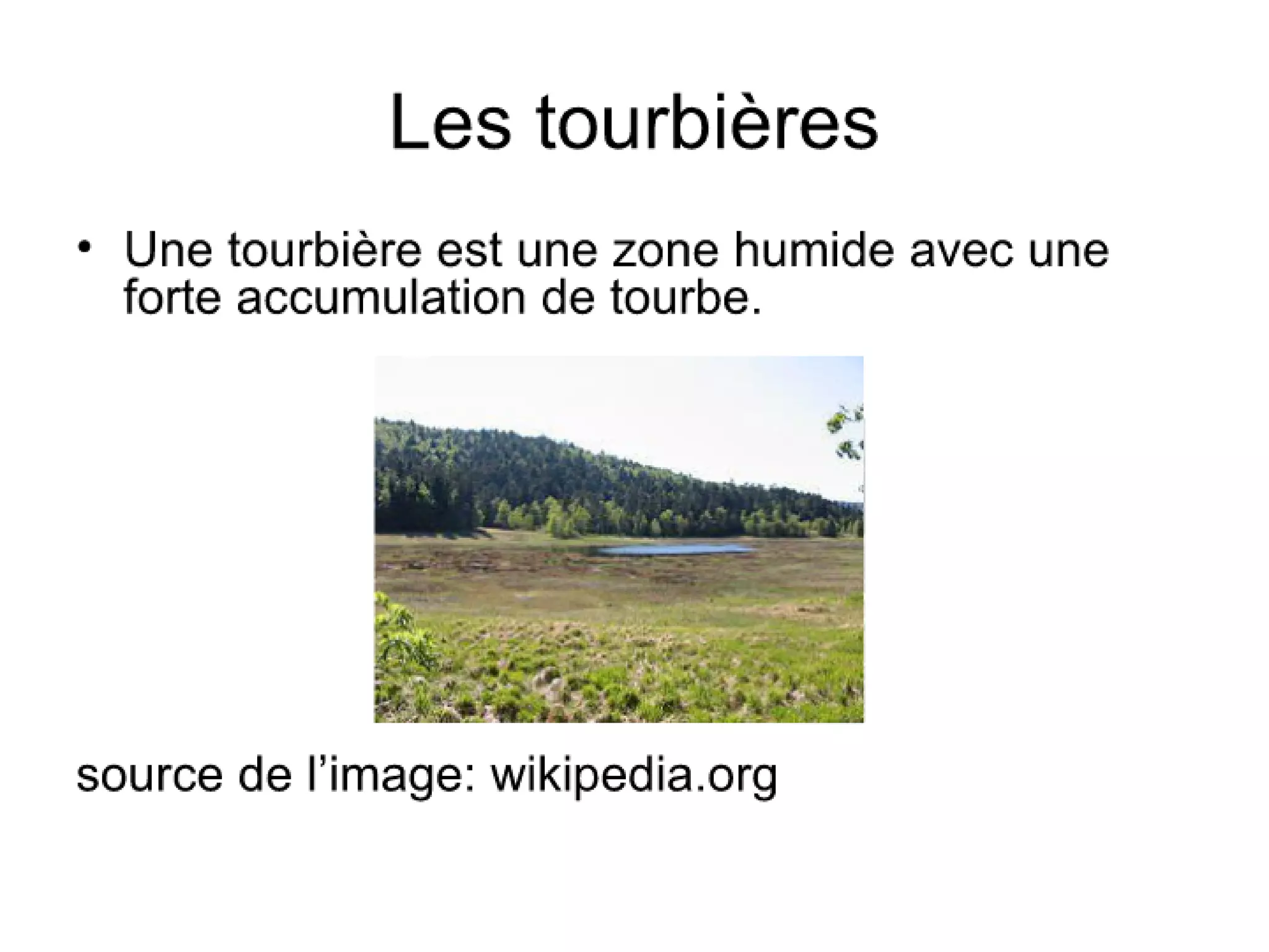 Line rochefort | PDF