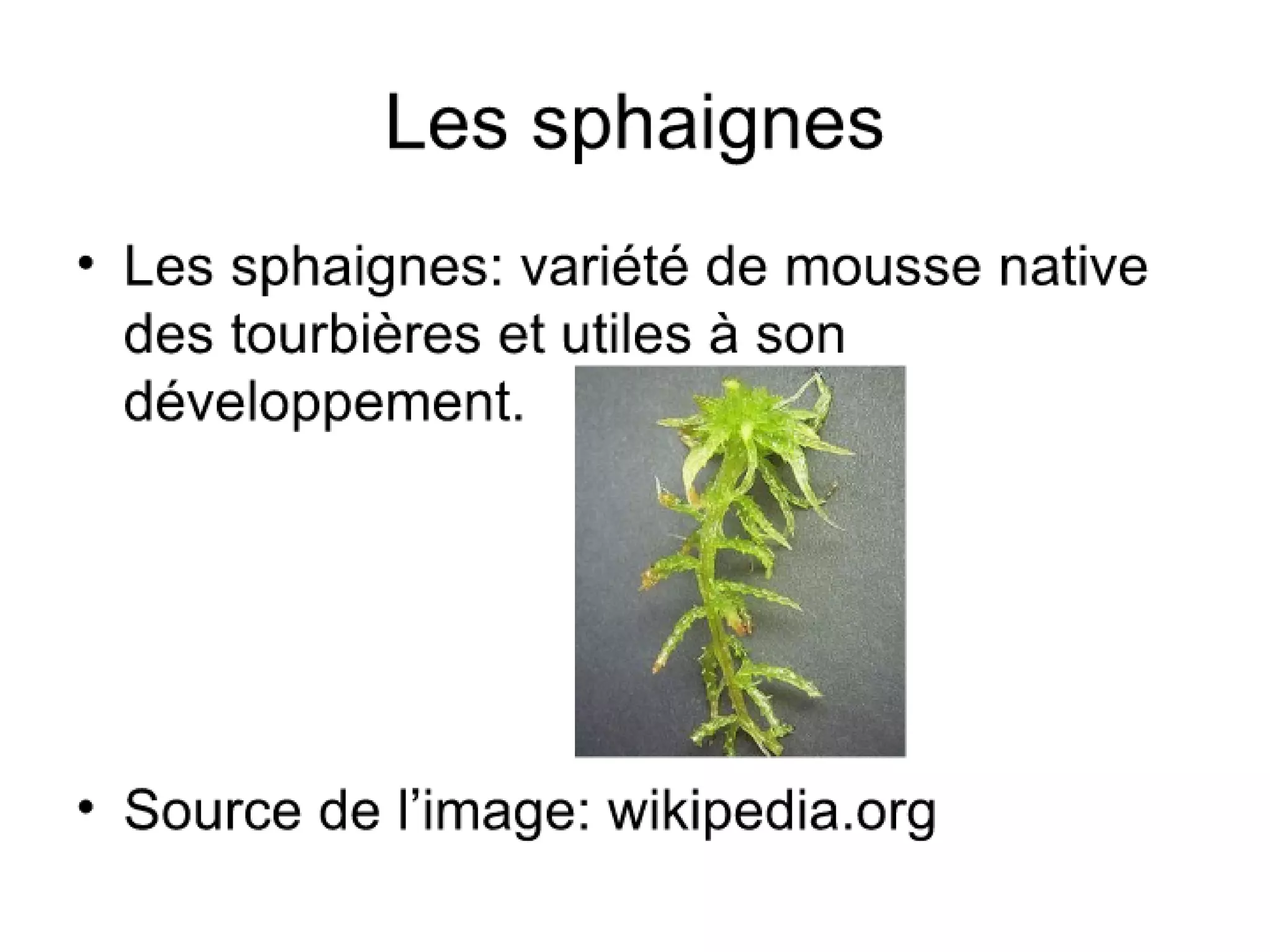 Line rochefort | PDF