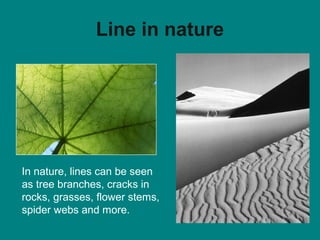 Lines1stqt | PPT