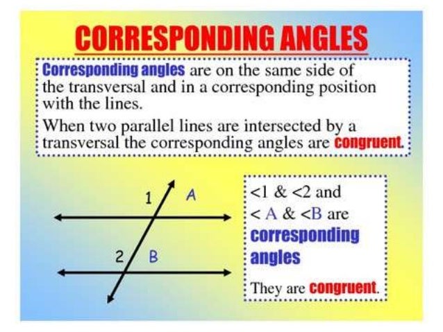 Lines and angles of The geometry