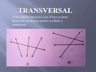 Lines and angles | PPT