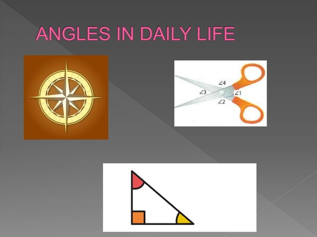 Lines and angles | PPT