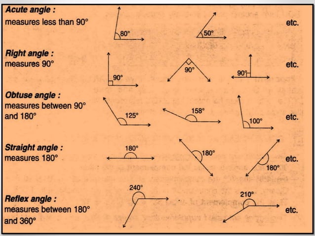 Lines and angles | PPTX | Geography | Science