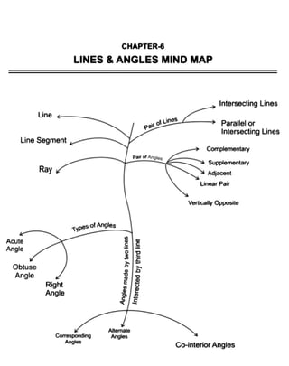Lines and Angles Notes.pdf class 9th Lines and Angles Notes | PDF