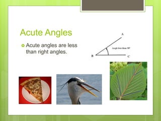 Lines and angles presentation | PPTX
