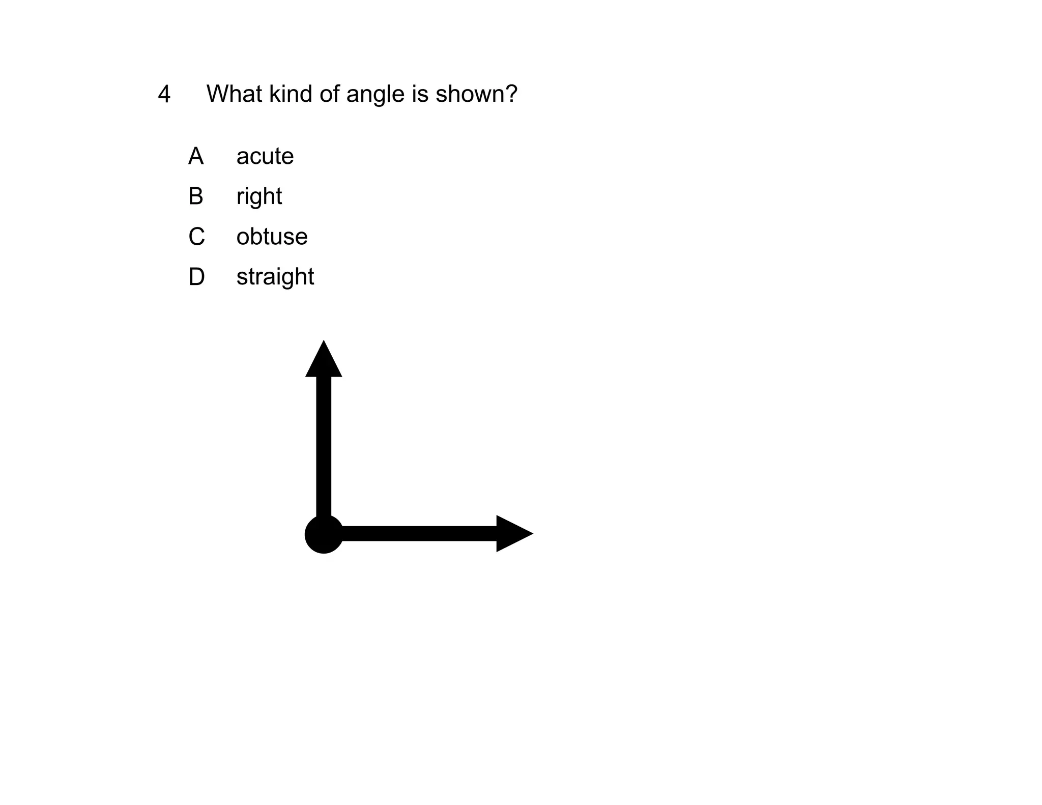 Lines, rays, angles quiz | PDF | Drawing and Sketching | Arts and Crafts