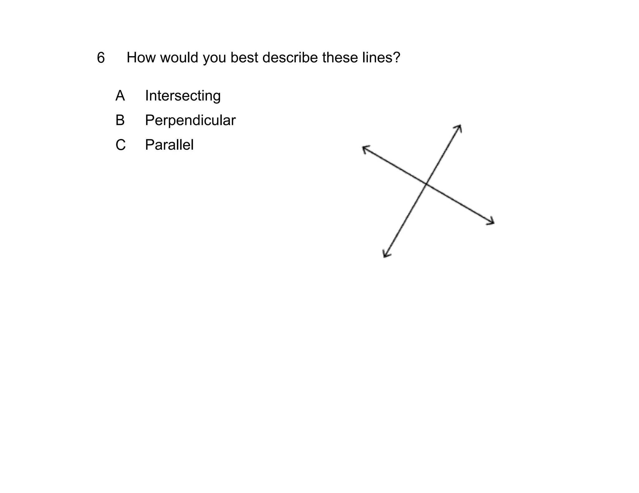 Lines, rays, angles quiz | PDF | Drawing and Sketching | Arts and Crafts