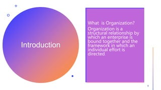Line Structure organization.pptx