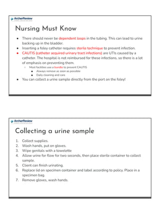ARCHER NCLEX REVIEW Lines, tubes, and drains | PDF