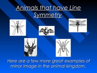 Line symmetry for 7th std | PPT