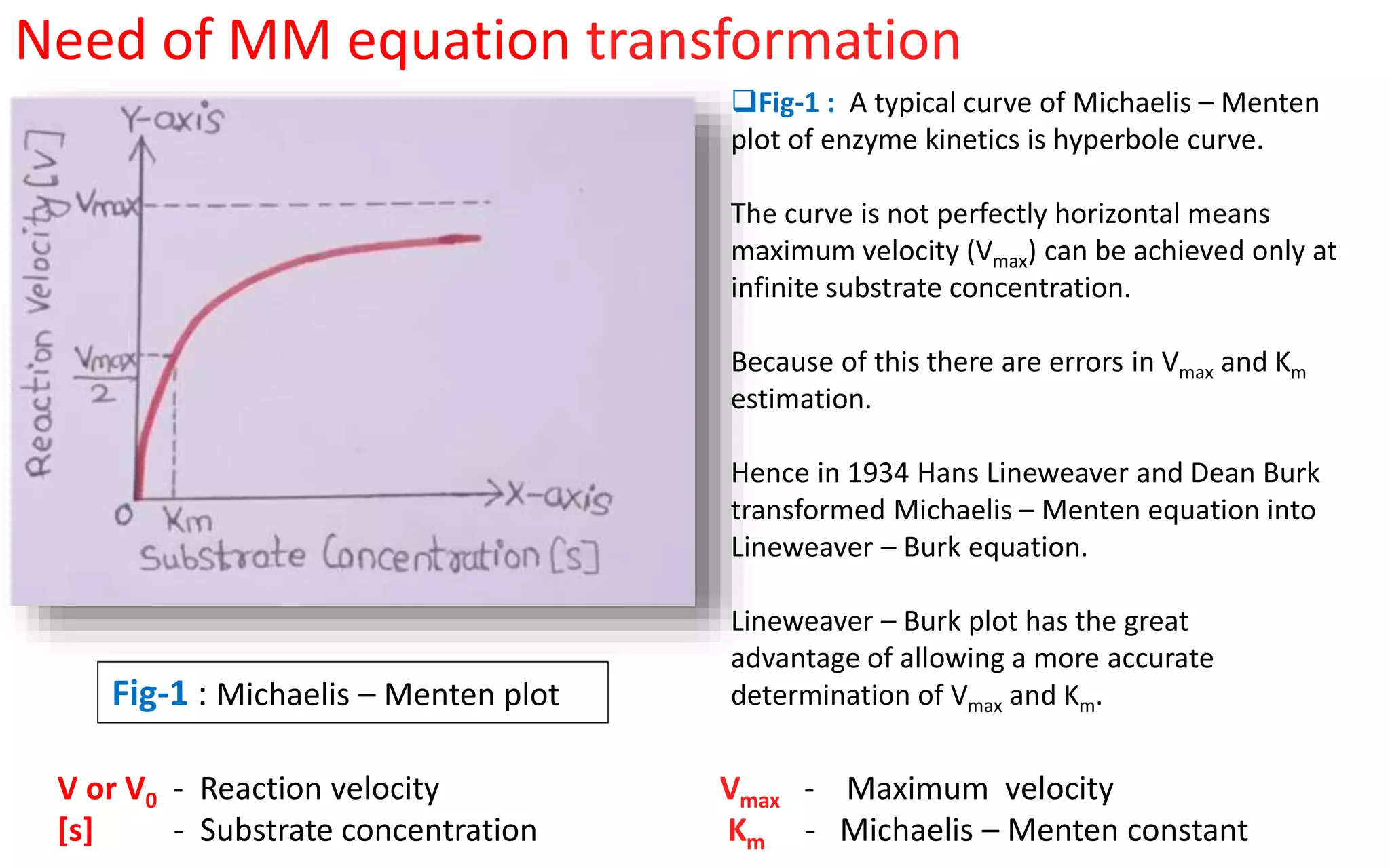 Lineweaver - Burk plot.pptx