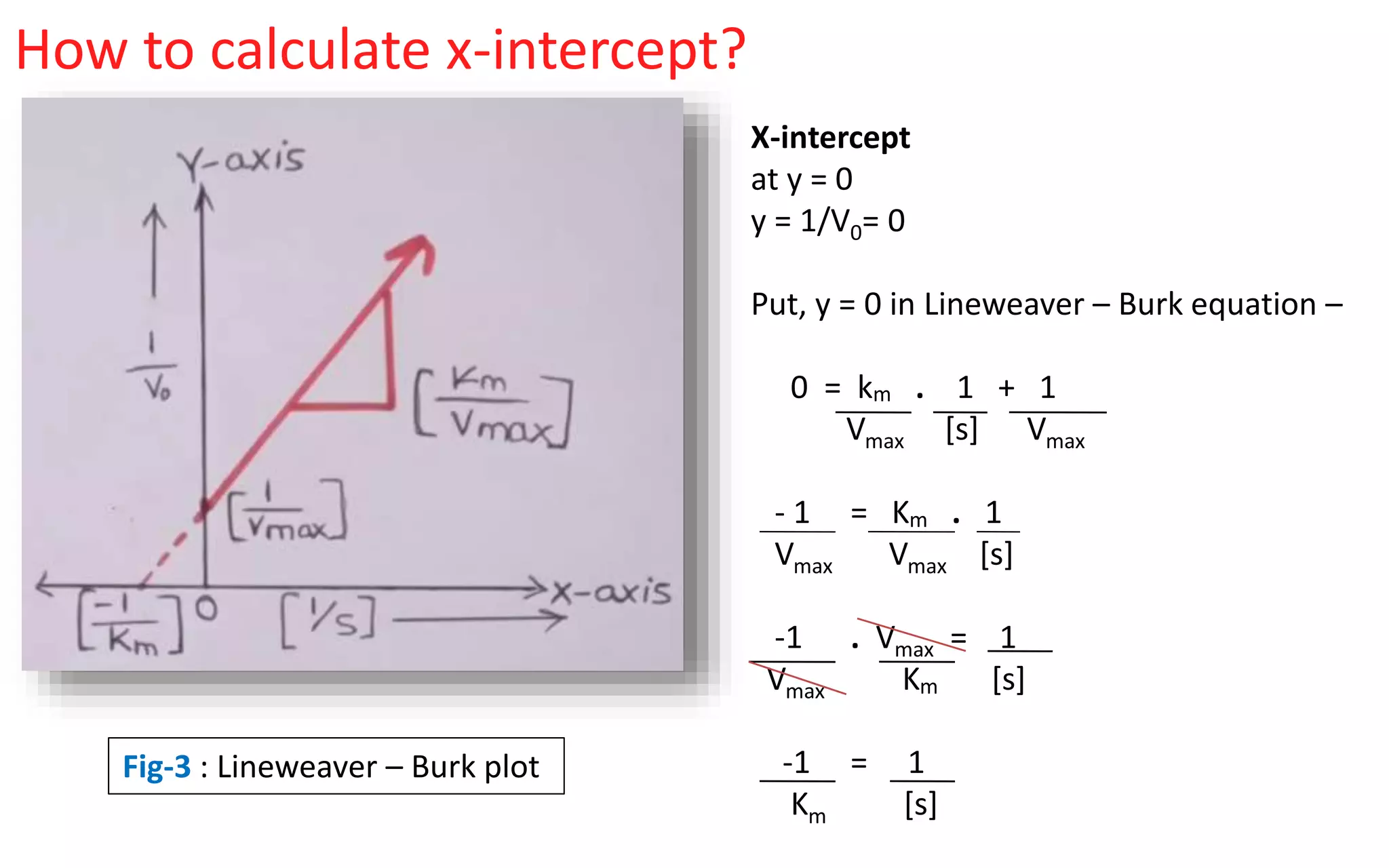 Lineweaver - Burk plot.pptx