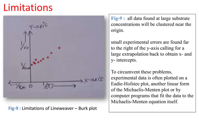 Lineweaver - Burk plot.pptx | Chemistry | Science