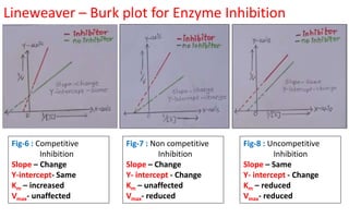 Competitive Inhibition Lineweaver Burk Plot