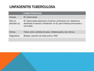 Linfadenitis granulomatosa | PPT