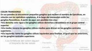 linfatico.pdf.pptx