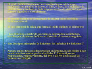 HISTOLOGIA TEJIDO LINFATICO | PPT