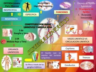 Linfatico mapa mental | PPTX