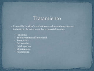 Linfoadenitis caseosa