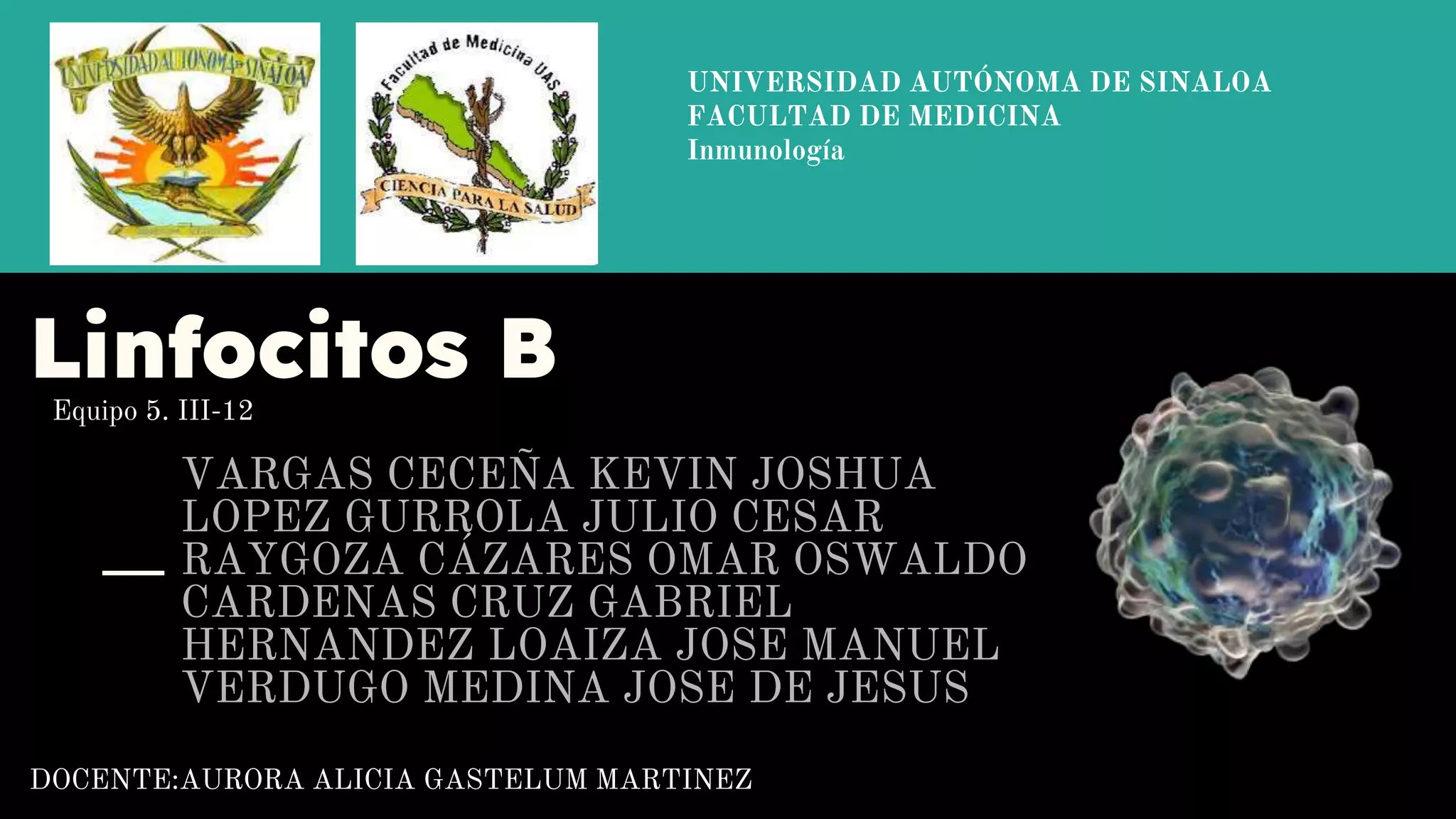 Linfocitos B.pptx
