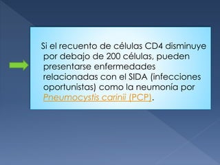 Linfocitos cd4 e importancia en el sida FISIOLOGIA | PPTX