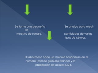 Linfocitos cd4 e importancia en el sida FISIOLOGIA | PPTX