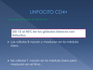 Linfocitos cd4 e importancia en el sida FISIOLOGIA | PPTX