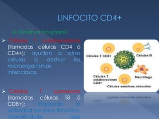 Linfocitos cd4 e importancia en el sida FISIOLOGIA | PPTX