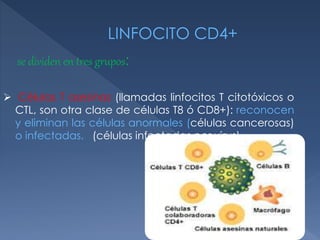 Linfocitos cd4 e importancia en el sida FISIOLOGIA | PPTX