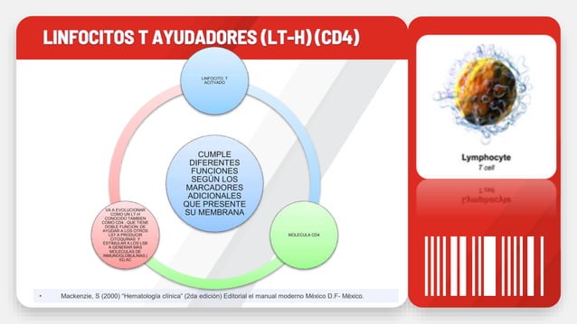 Activación de los Linfocitos T y funciones de las subpoblaciones-Inmunología.pptx