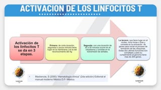 Activación de los Linfocitos T y funciones de las subpoblaciones-Inmunología.pptx