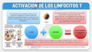 Activación de los Linfocitos T y funciones de las subpoblaciones-Inmunología.pptx