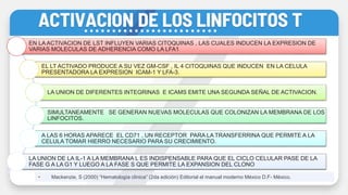 Activación de los Linfocitos T y funciones de las subpoblaciones-Inmunología.pptx