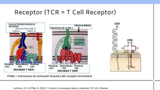Linfocitos T CD4_CD8.pptx