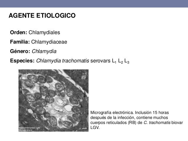 Linfogranuloma Venéreo