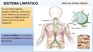 Linfoma | PPTX