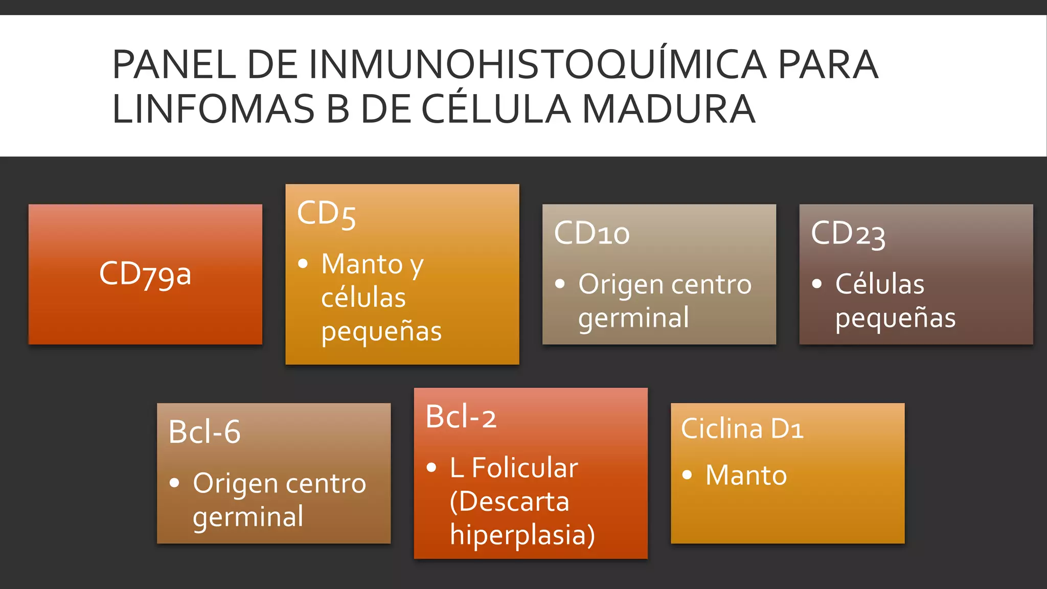 Linfomas células b maduras | PPT