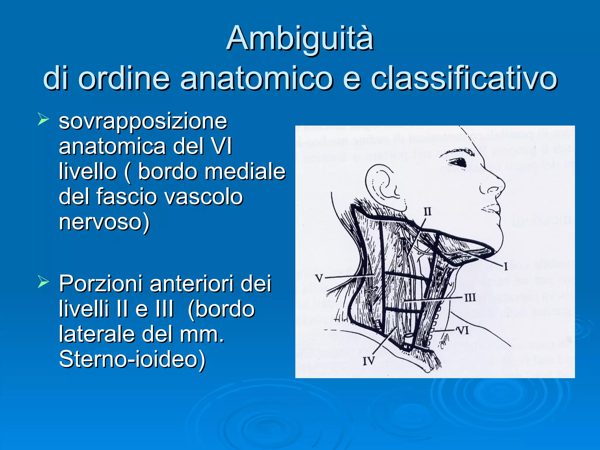 Linfonodi della testa | PPT